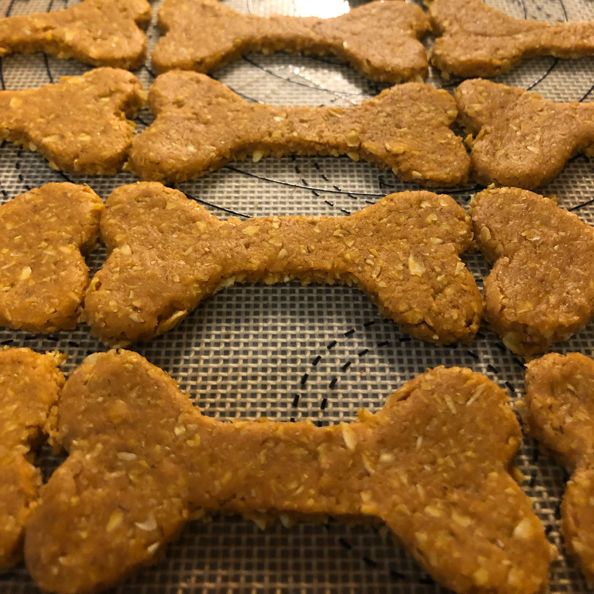 Doggy Treats – Double Dog Dare Bakery